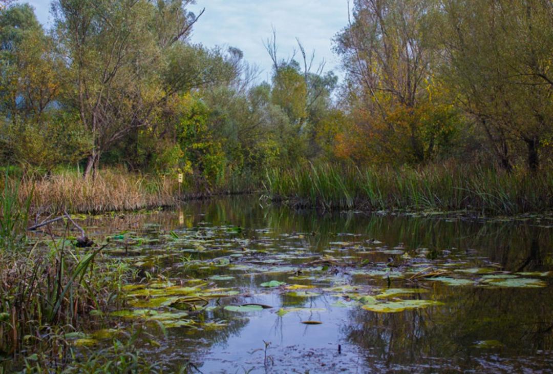 Edutorij | Kahoot kviz - vode stajaćice